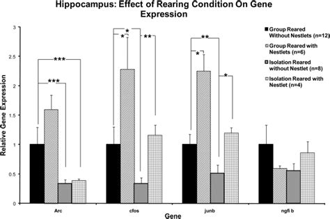 Rats Treated With Nestlets Had Significantly Higher Gene Expression Download Scientific Diagram