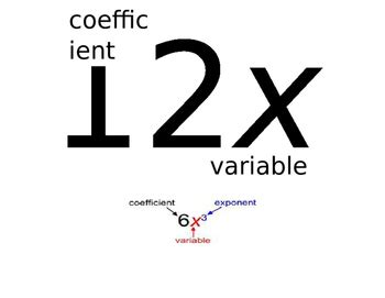 Coefficient And Variable Poster By Math By The TEKS TPT