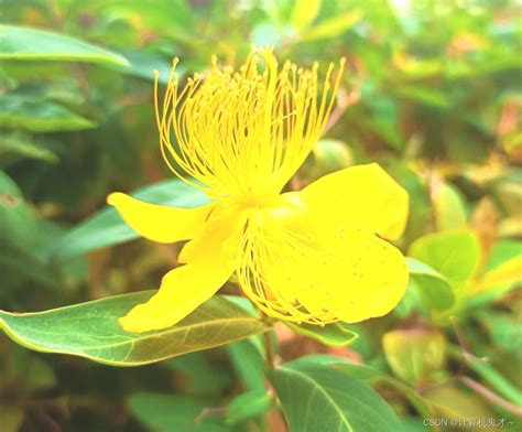 数字图像处理篇（1）数字图像基础 Csdn博客