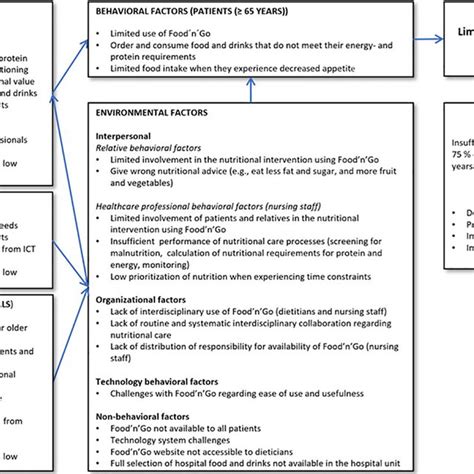 The Needs Assessment—logic Model Of The Problem Step 1 Download