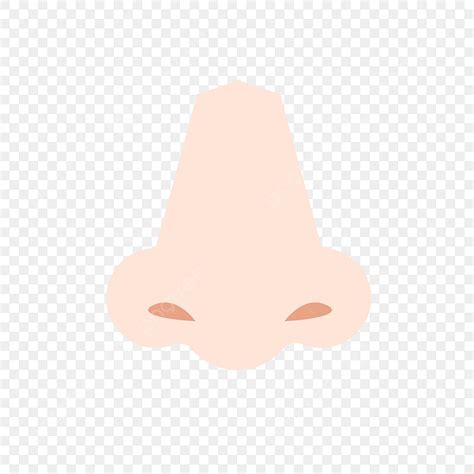 플링코 Png 일러스트 Psd 및 클립 아트에 대한 무료 다운로드 Pngtree