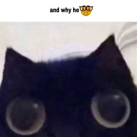 Woah Rsosillycatmemes