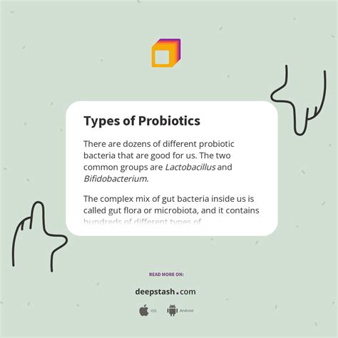 Types Of Probiotics Deepstash