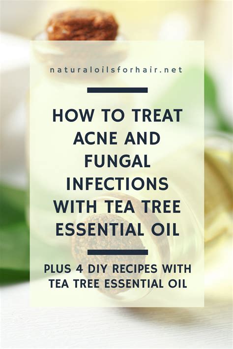 How To Treat Acne Infections With Tea Tree Essential Oil