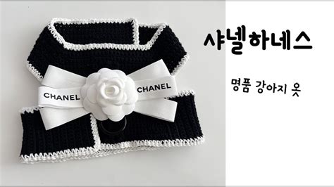 강아지하네스 샤넬하네스 명품하네스 이쁜하네스 강아지옷 Youtube