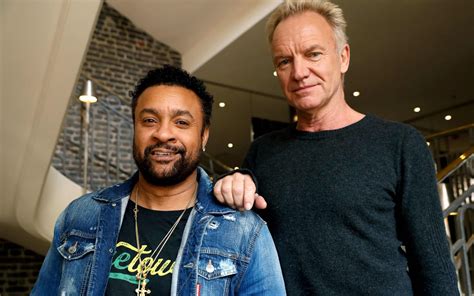 Shaggy And Sting Was To Record Second Album Prior To The Pandemic Radio