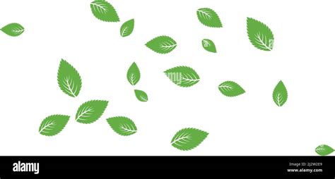 Mint Leaf Background Pattern Illustration Vector Stock Vector Image And Art Alamy