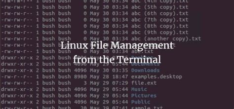 Category Debian Vitux