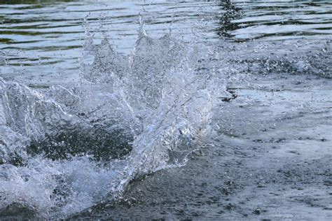 Like Learning A New Language Faith Formation Requires Immersion Catechists Journey