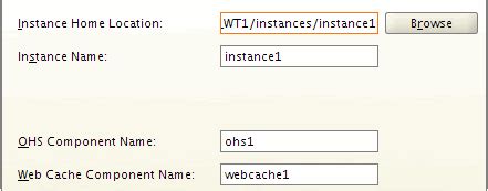 Oracle WebLogic Server 12c Installing And Configuring A Cluster Proxy