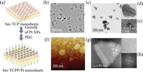 A Preparation Of Sm Tcpp Pt Nanosheets And Its Tem Images