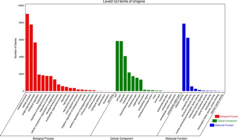 Go Classification Of Assembled Unigenes Color Figure Online
