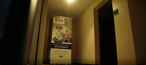 Bisa