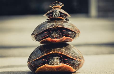 Message Order And Delivery Guarantees In Elixirerlang By Gaspar Chilingarov Learn Elixir