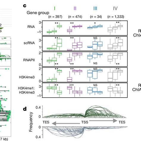 Promoter Centred Multiplex Chromatin Interactions Provide Topological