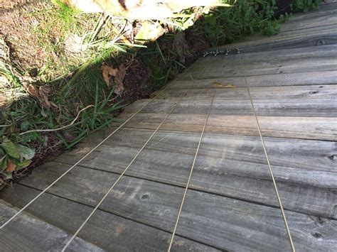 Steel Cable Trellis Nicks Blog