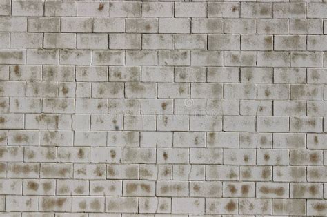 A Cinder Block Wall As Textures And Design Stock Image Image Of Construction Wall 300157337