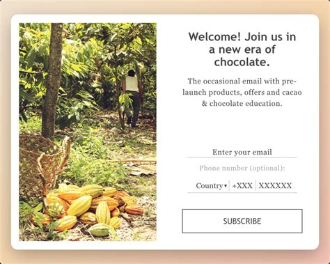 10 best sms popup tips and examples to capture quality leads