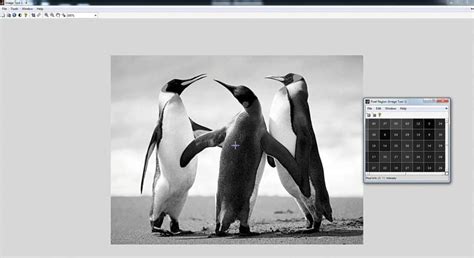 Image Processing Using MATLAB Basic Operations