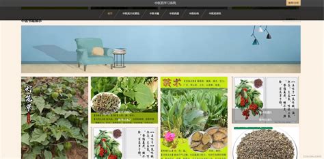 Django中医学习系统程序开题报告 Csdn博客