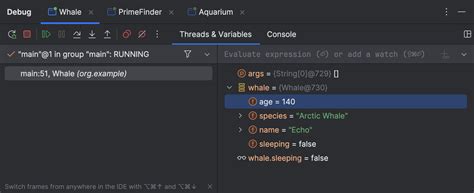 Debug(调试)工具窗口 Intellij Idea 文档 Debug(调试)工具窗口 Intellij Idea 文档