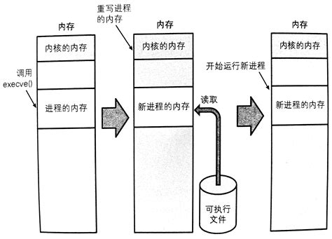 用于创建进程的 fork 和 execve 函数 paopao s blog