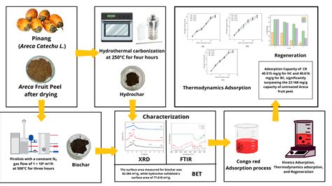 Utilizing Areca Catechu L Fruit Peel Derived Biochar And Hydrochar For Congo Red Adsorption