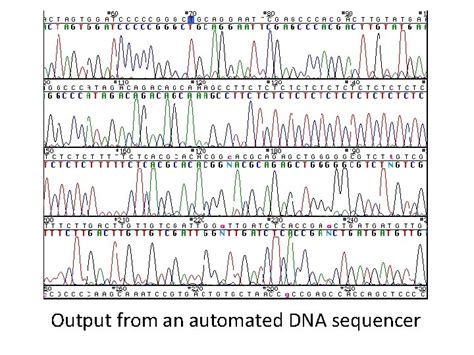 A Brief History Of Molecular Biology By Barbara