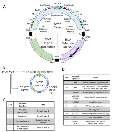 Design Of Joint Universal Modular Plasmids Design Of Joint Universal Download Scientific