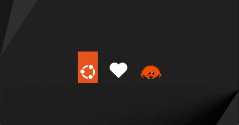 Is Rust The Right Choice For You Canonical