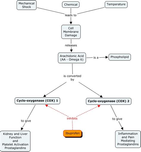 Ibuprofen And The Pain Pathway Alternate Version Just A Try