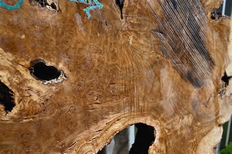 Olive Root Burl Slab Etsy
