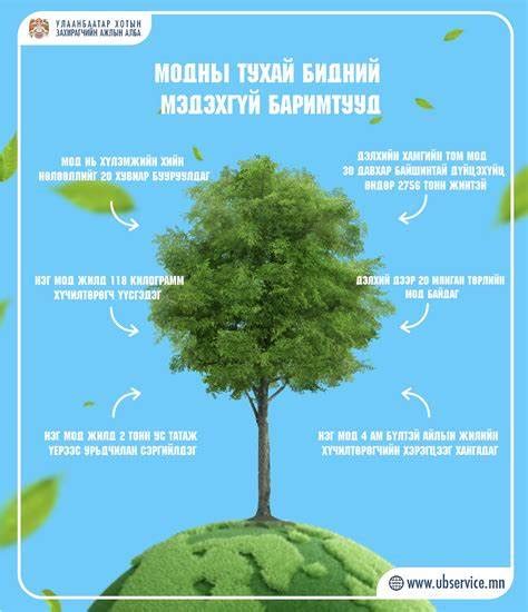 Дорноговь НИЙТИЙН ЭЗЭМШЛИЙН ТАЛБАЙД МОД УСЛАХ АРЧЛАХ ХАМГААЛАХ АЖИЛД ГЭР БҮЛИЙН ХҮМҮҮСИЙГ