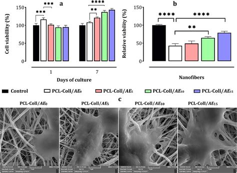 Bioactive Stem Cell Laden 3d Nanofibrous Scaffolds For Tissue Engineering Heliyon