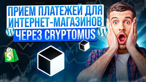 Прием платежей на сайте Wordpress Shopify Opencart Prestashop Xenforo в Usdt Youtube