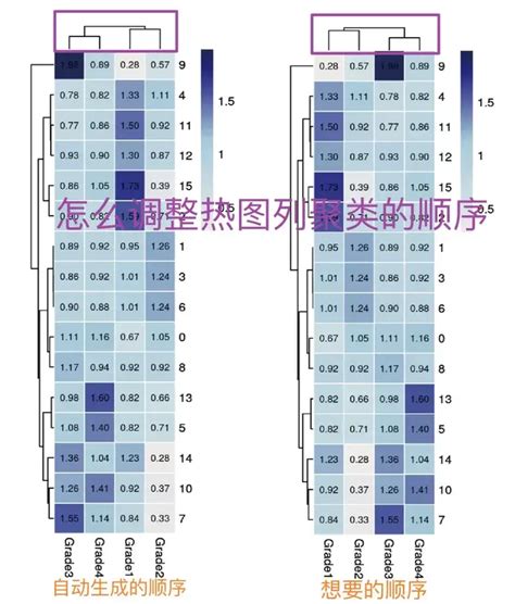 实用型绘图技巧分享——如何让热图的列聚类按照自己的想的顺序展示呢 知乎