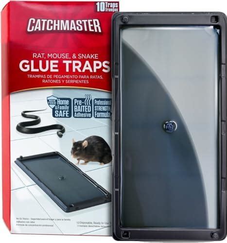Amazon.com : 12 Pack Extra Large Glue Traps for Mice and Rats, Heavy Duty Rat Glue Traps, Super ...