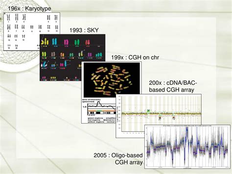 PPT Array Based Comparative Genomic Hybridization PowerPoint Presentation ID