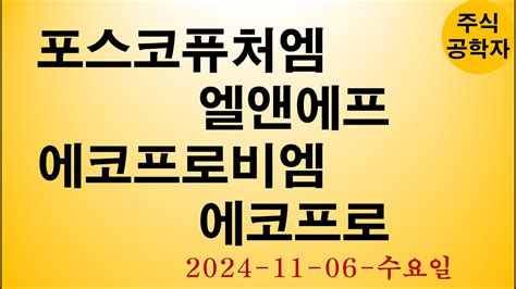 포스코퓨처엠 엘앤에프 에코프로비엠 에코프로 주가전망 Youtube