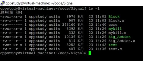 【操作系统】信号signal超详解捕捉函数signal捕获所有信号 Csdn博客