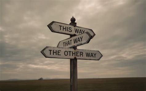 Wooden Signpost With Three Directional Arrows Labeled This Way Stock Illustration