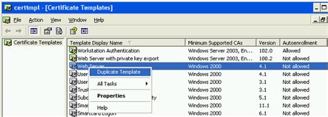 windows ca template web server and private key export booches nl