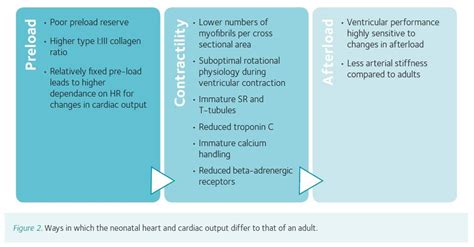 Cardiac Output Diversity The Physiological Society