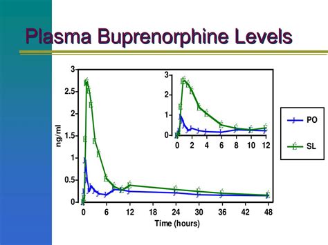 The Effects Of Suboxone On Metabolism And Weight Gain Carrie Visintainer