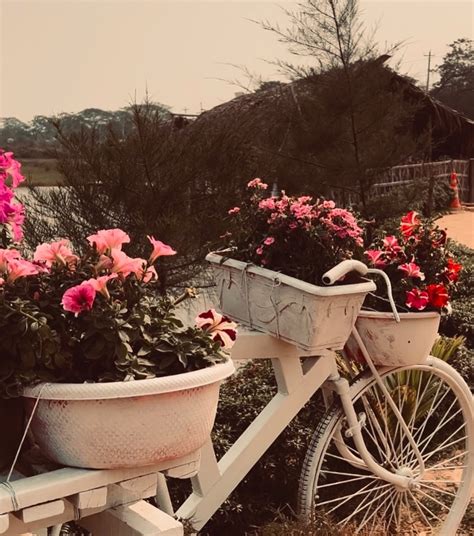 Maliha Hasnat Malihahasnat • Instagram Photos And Videos