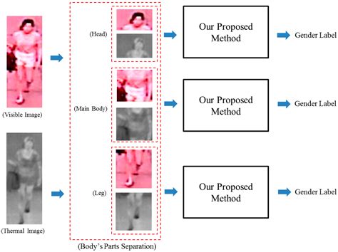 Body Based Gender Recognition Using Images From Visible And Thermal Cameras