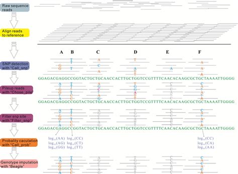 General Workflow For The Hetmap Pipeline Short Sequence Reads Are