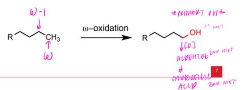 Med Chem Lecture 7 Flashcards Quizlet