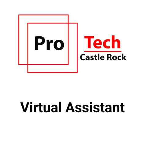 Virtual Assistant Pro Tech Computer Systems