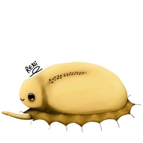 Instagram Speculative Evolution Project Recommendations R Speculativeevolution